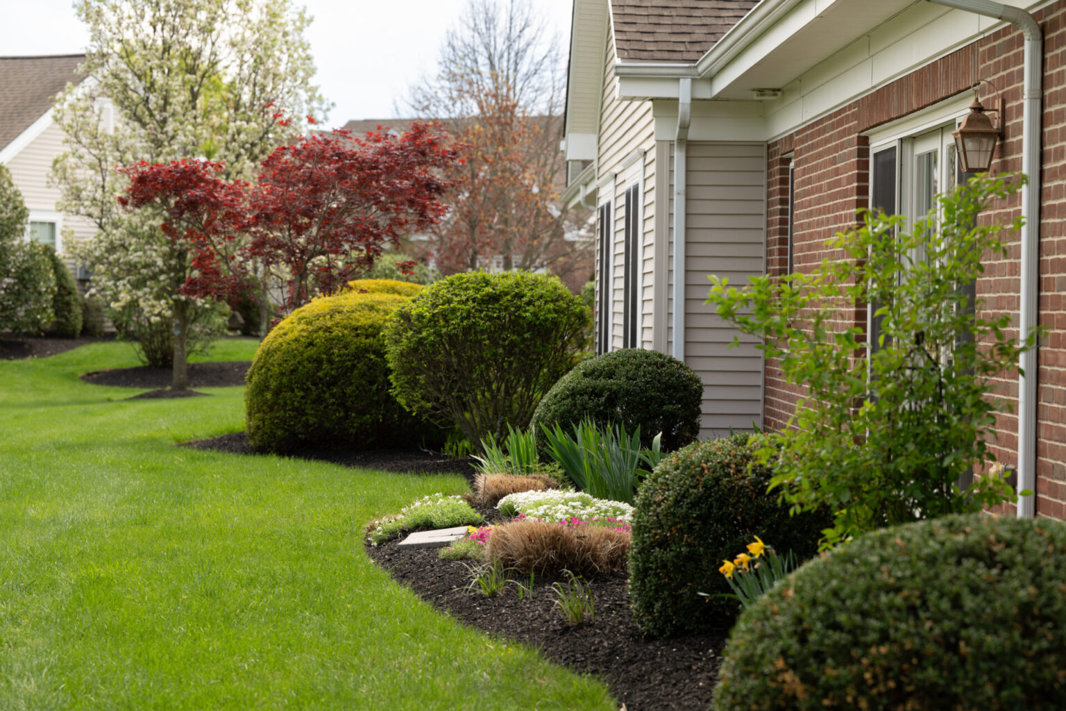 Retirement Home Options – Montgomery County, PA